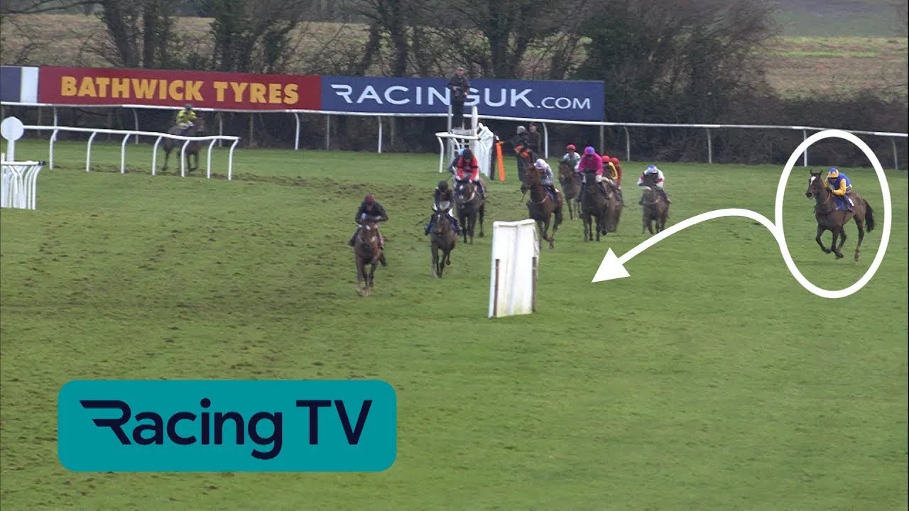Six BIZARRE Horse Racing Moments - The Global Herald