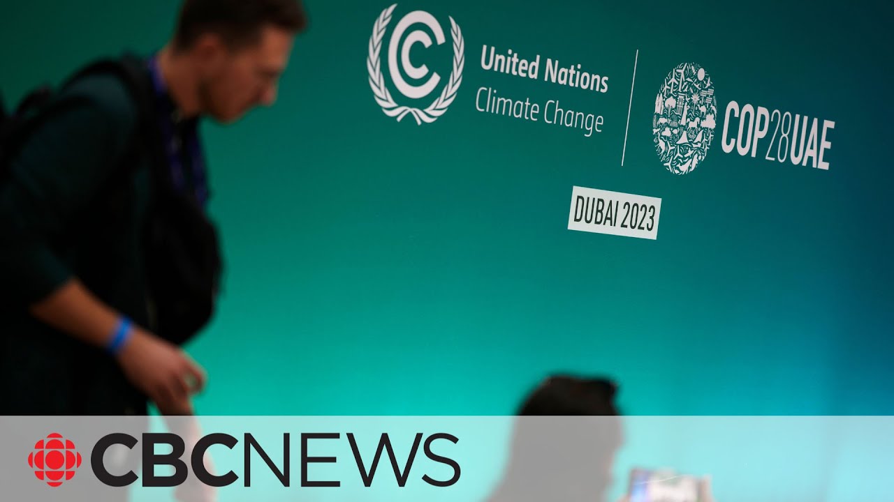 What can we expect from COP28? - The Global Herald