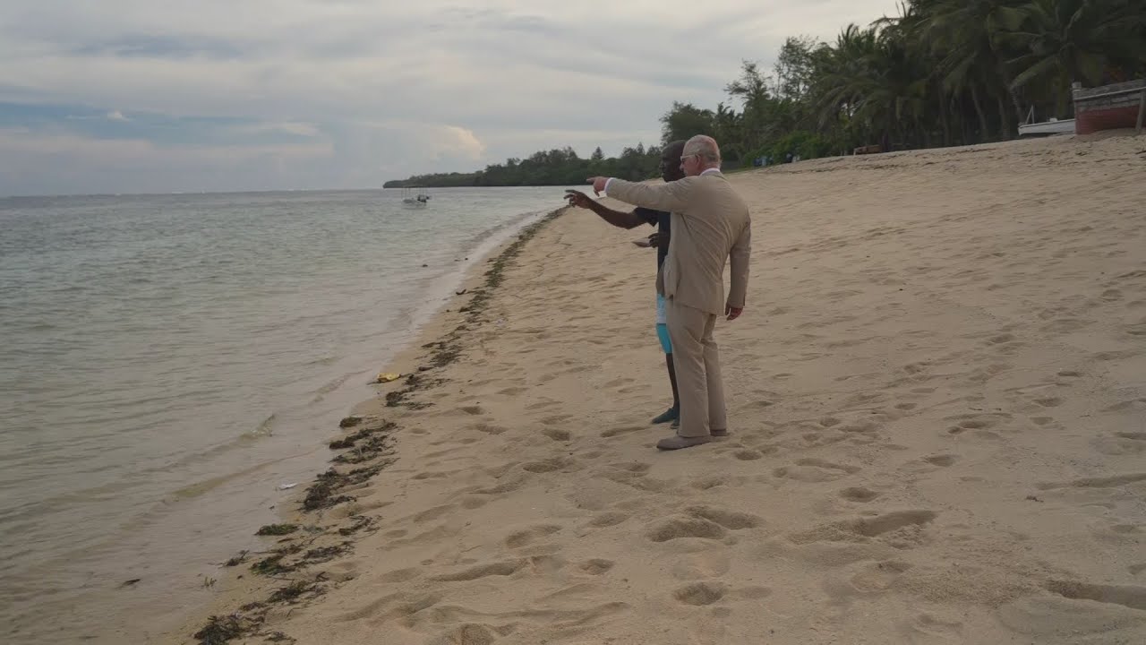 King of Coral: Charles III watches reef taken to sea - The Global Herald