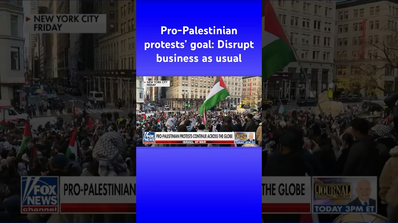 FOX News’ Alexandria Hoff reports on nationwide Pro-Palestinian ...