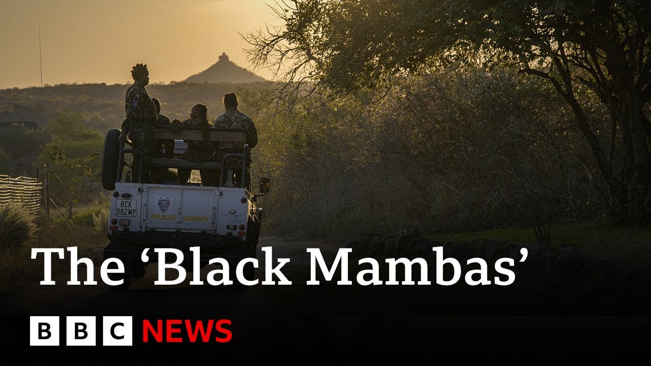 South Africa’s ‘Black Mamba’ anti-poaching unit | BBC News - The Global ...