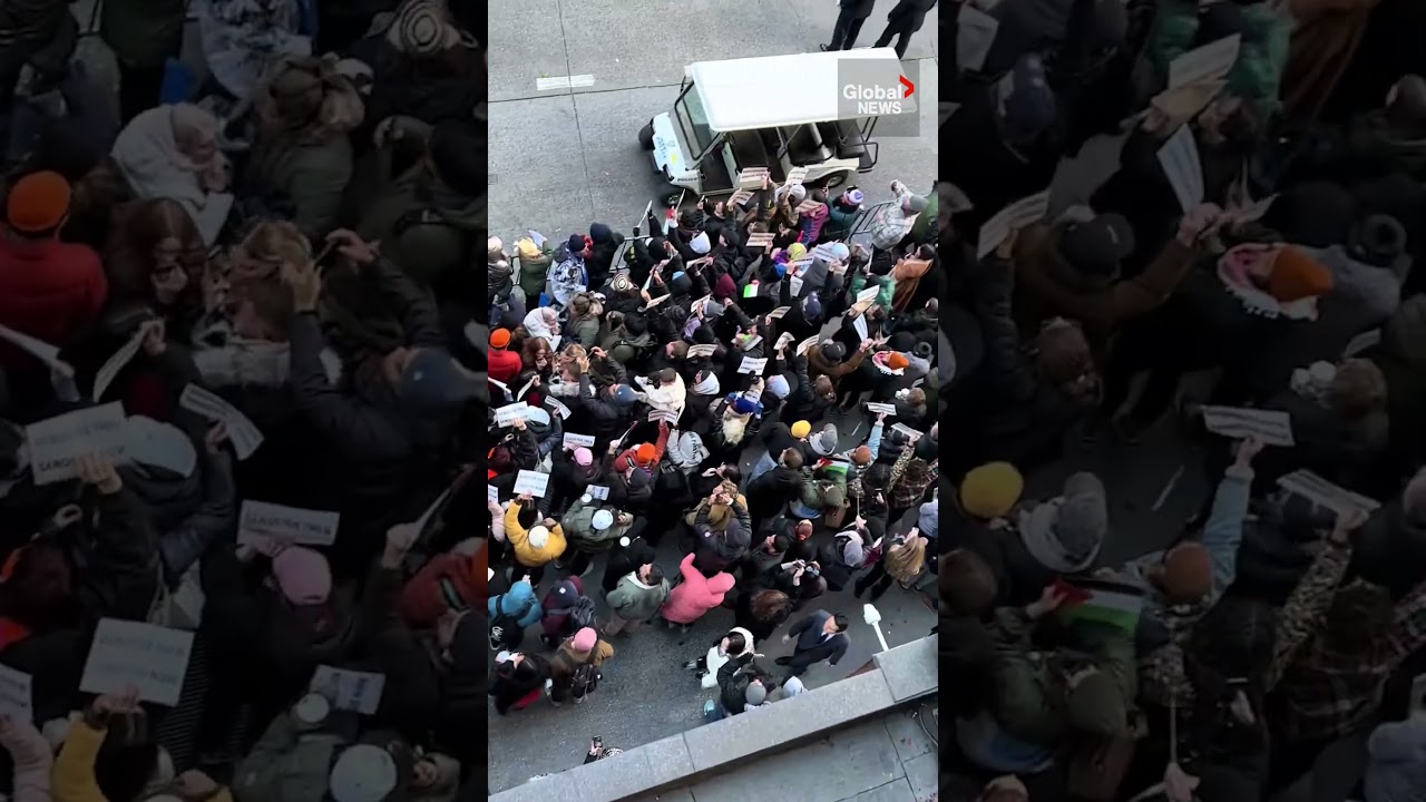 Macy's Thanksgiving Day Parade briefly halted by pro-Palestinian ...