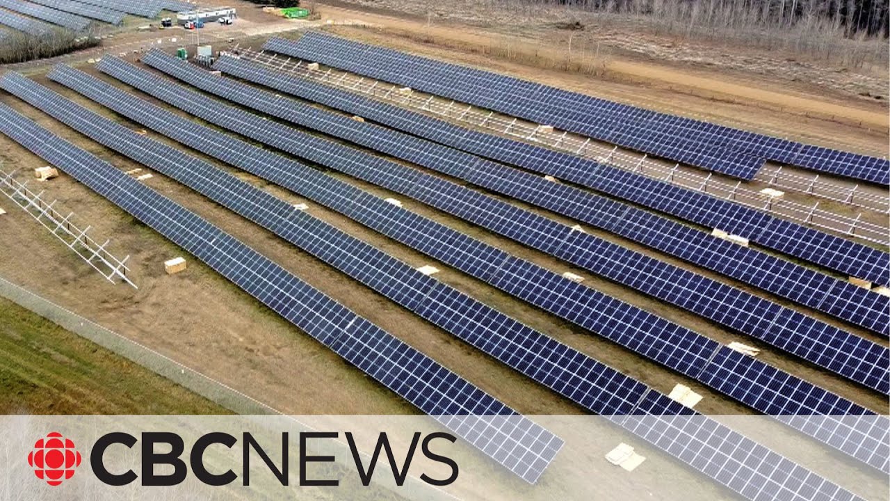 Métis Nation of Alberta solar panel farm could power 1,200 homes - The ...