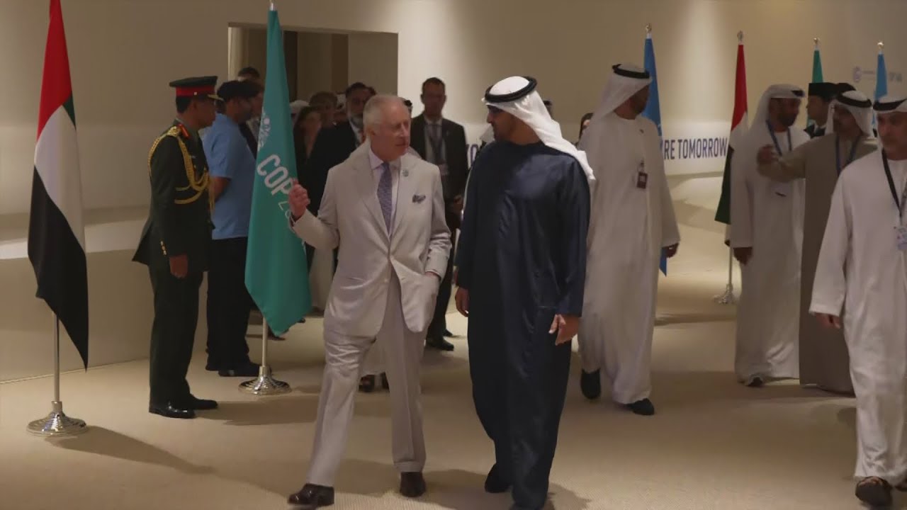 King meets UAE President in Dubai - The Global Herald