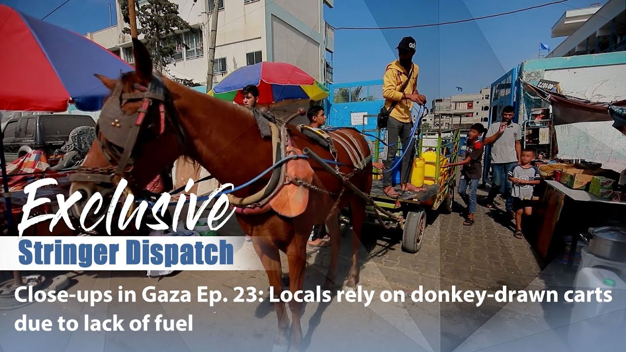 Close-ups in Gaza Ep. 23: Locals rely on donkey-drawn carts due to lack ...