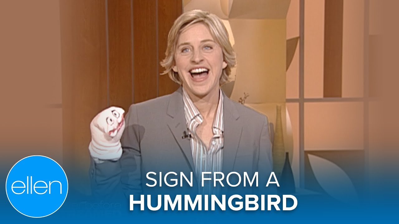 Ellen’s Sign from a Hummingbird - The Global Herald