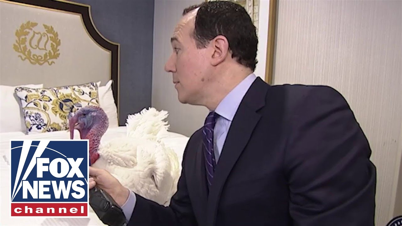 This year’s presidential turkeys get stuffed with questions - The ...