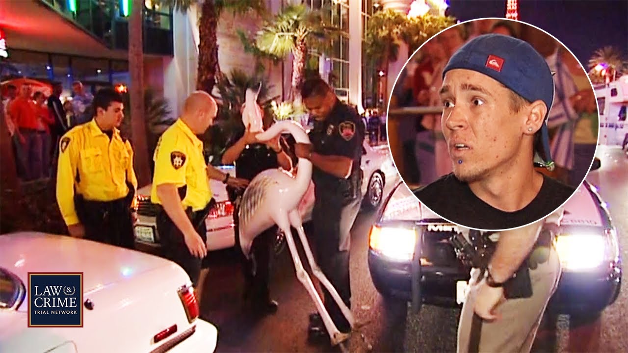 'Stole a Flamingo': 11 Most Insane COPS Moments - The Global Herald