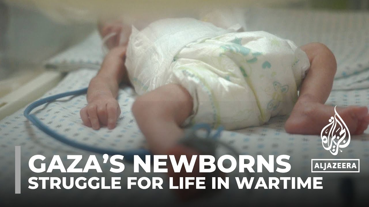Gaza's premature babies: Newborns struggle for life in wartime - The ...