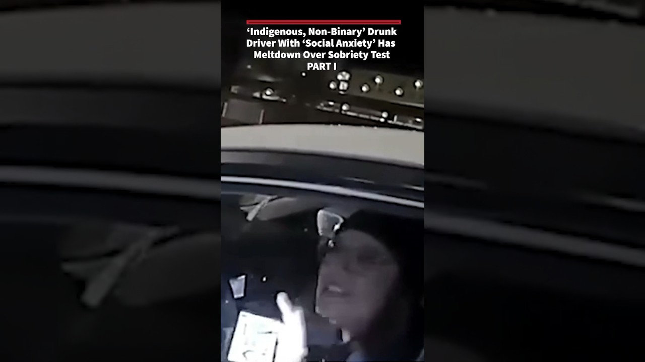 Part I Drunk Driver Allegedly Sobs Over Getting Pulled Over The