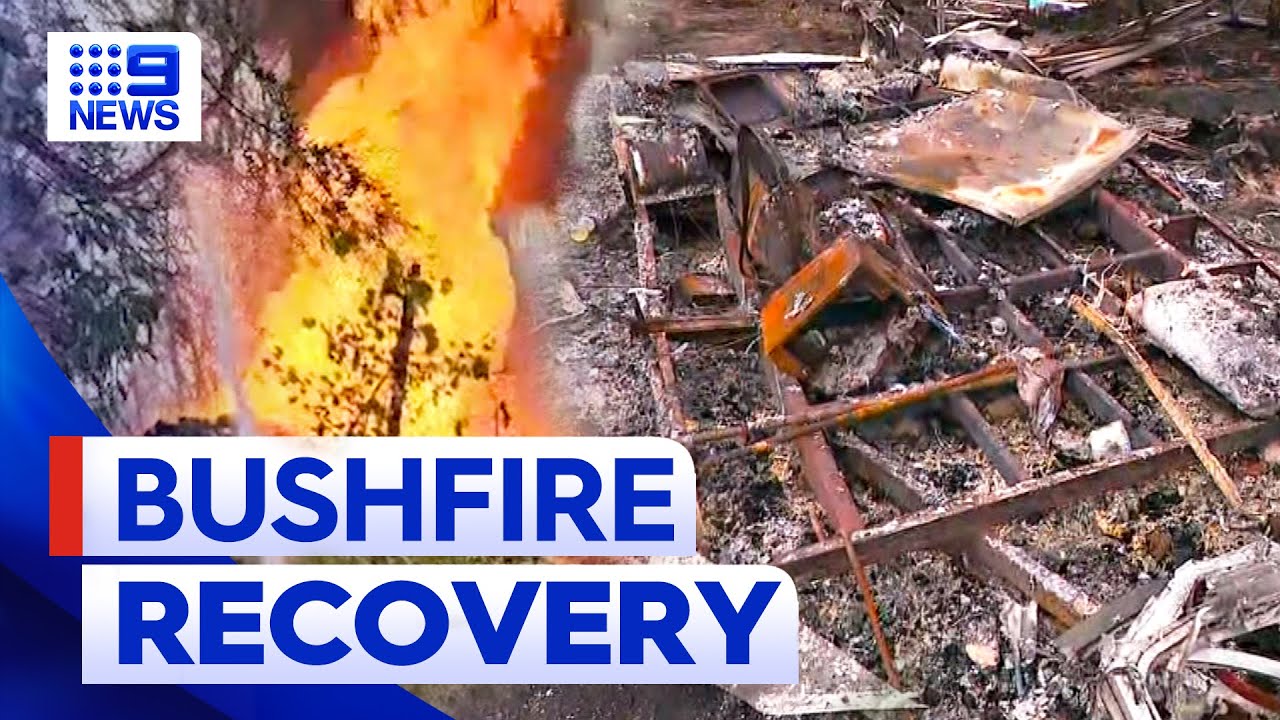 Queensland bushfires: Recovery process begins after devastating fires ...