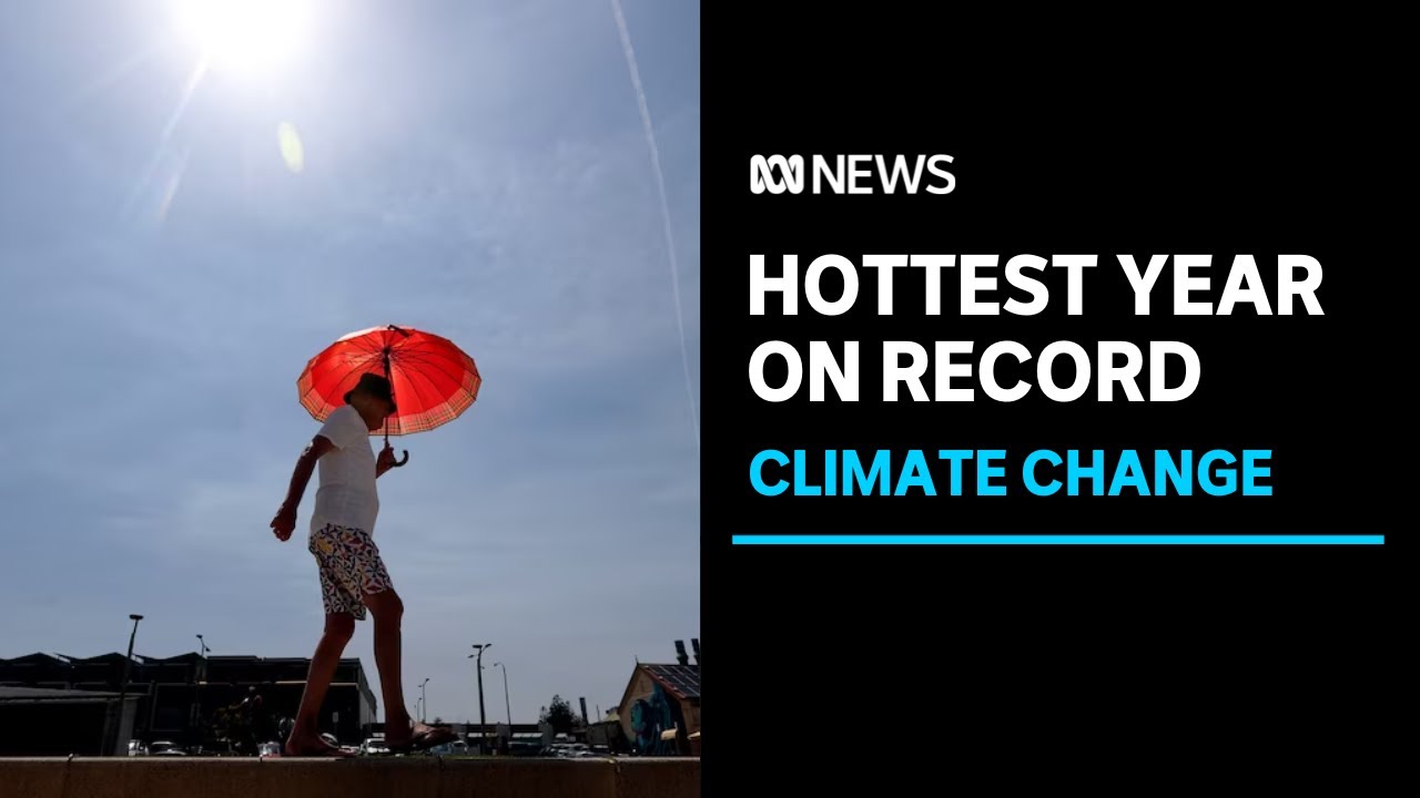 Reports confirm the world has experienced its hottest 12 months on ...