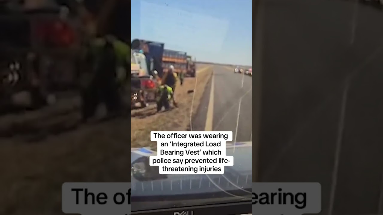 Bull charges at police officer - The Global Herald