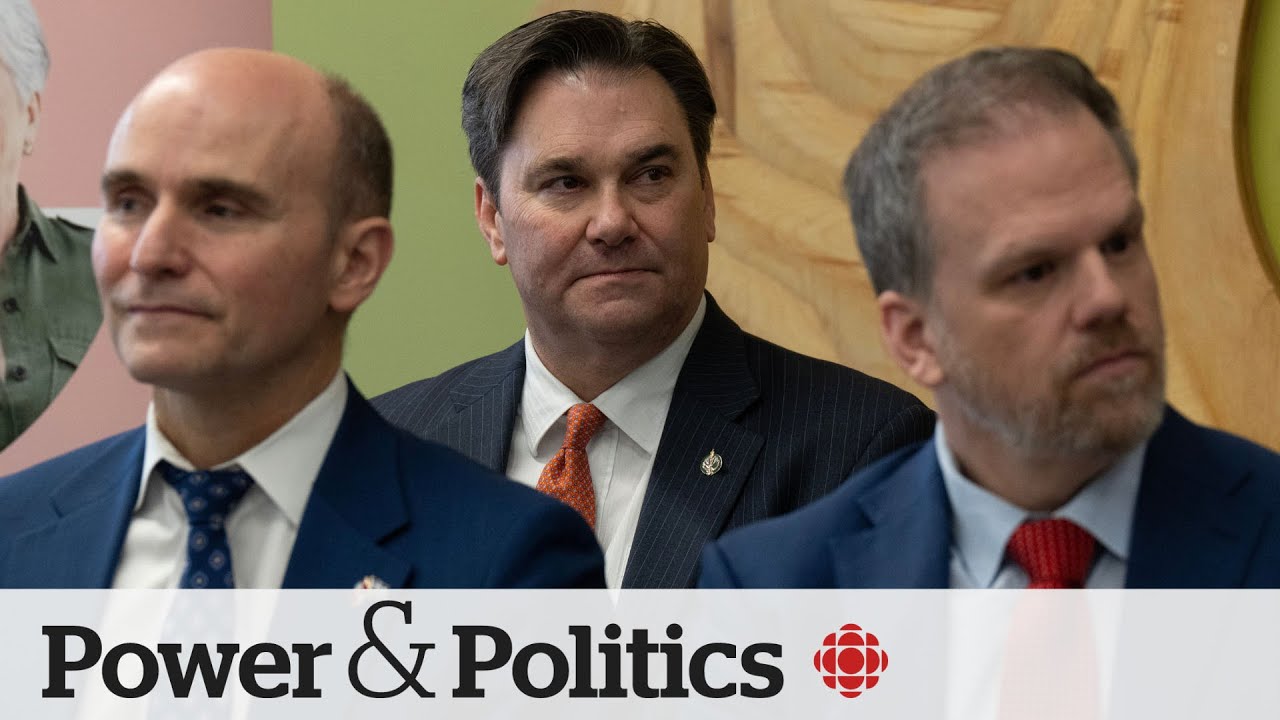 New federal dental program a 'major step forward,' NDP health critic ...
