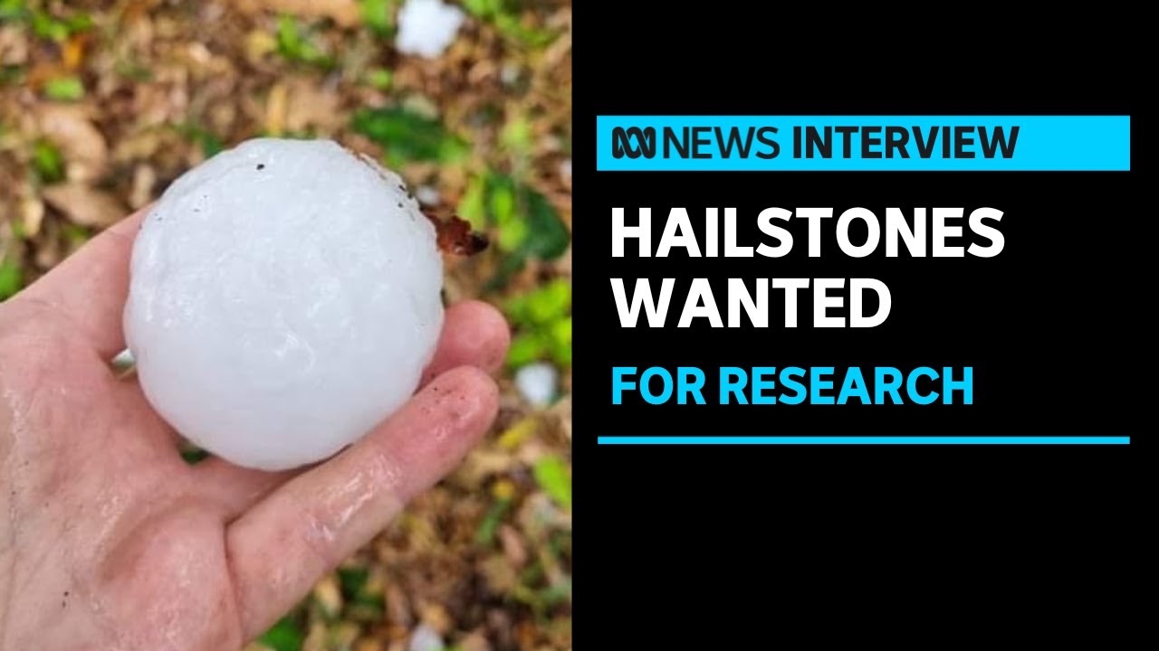 Giant hailstones wanted from your backyard for research to improve ...