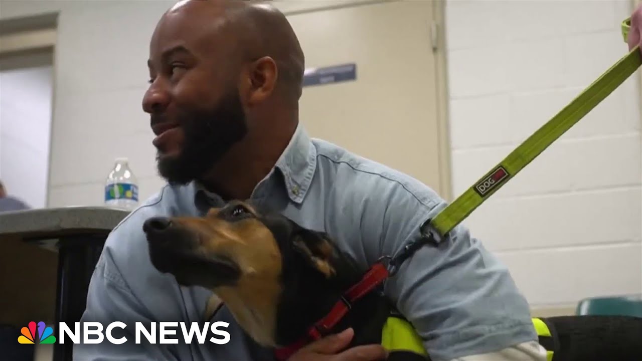 Virginia program pairs inmates and shelter dogs to work together - The ...