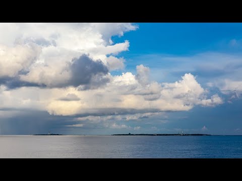 Live: Vibrant marine life of Yongxing Island in southern China - The ...