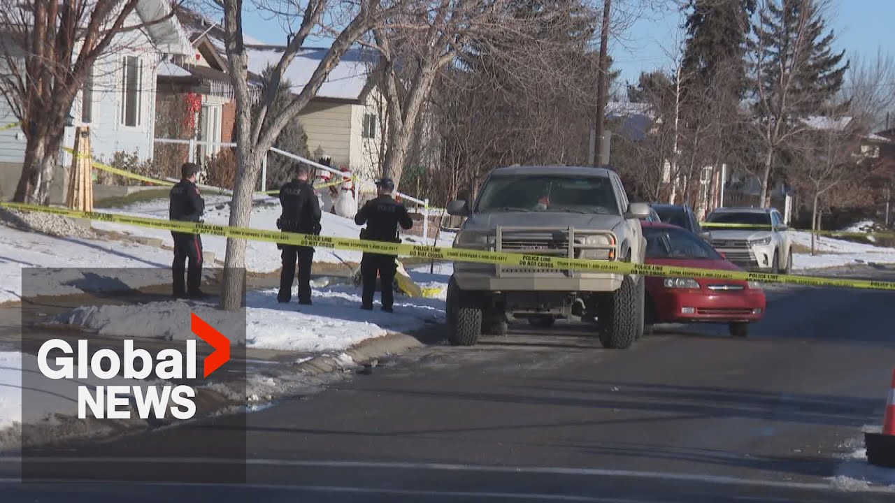 Calgary driver charged after man crushed between car and tree in road ...