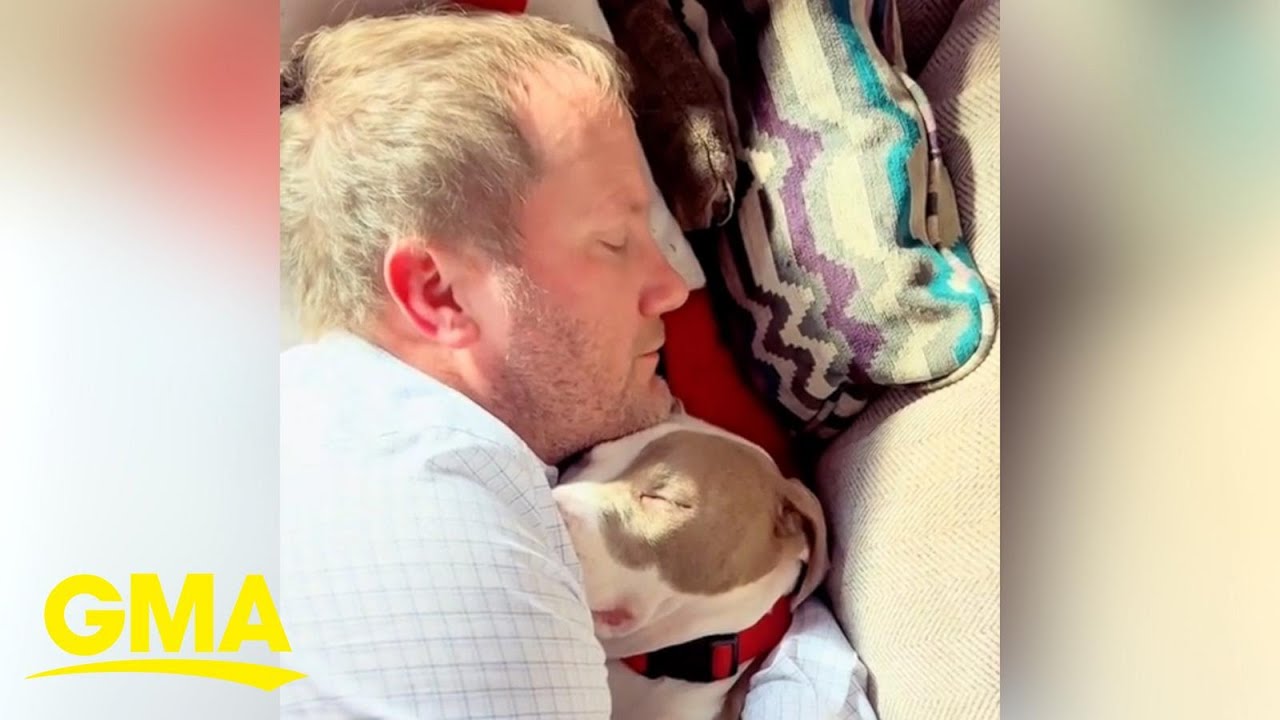 Dad caught cuddling puppy ‘he didn’t want’ on sofa ‘she’s not allowed ...