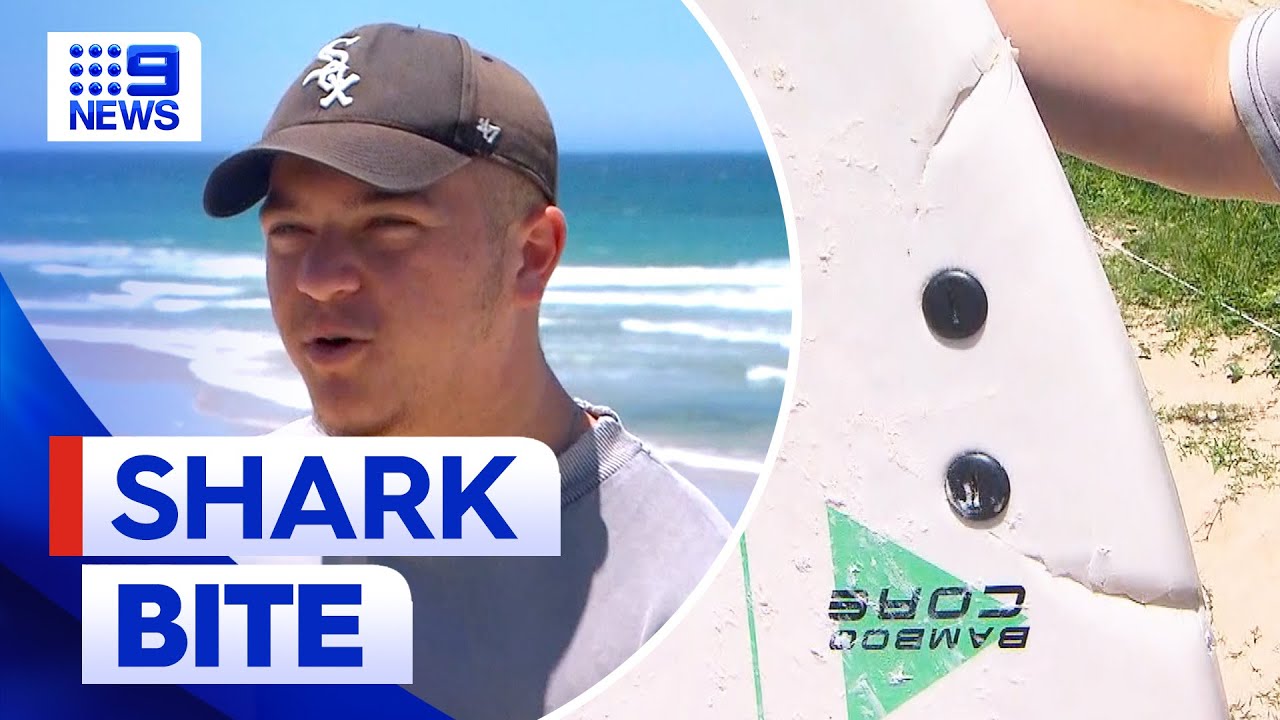 Teenager survives juvenile great white shark bite | 9 News Australia ...