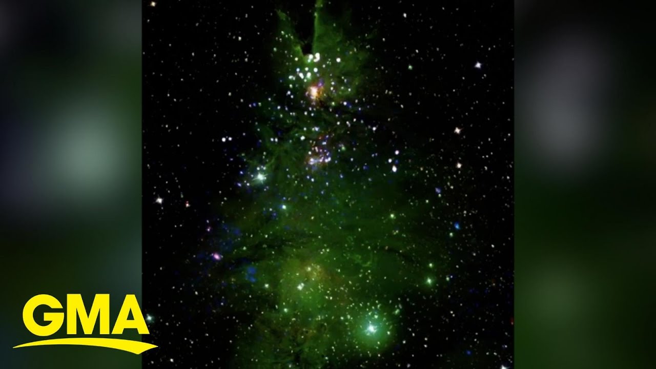 NASA released images of a 'Christmas Tree Cluster' - The Global Herald