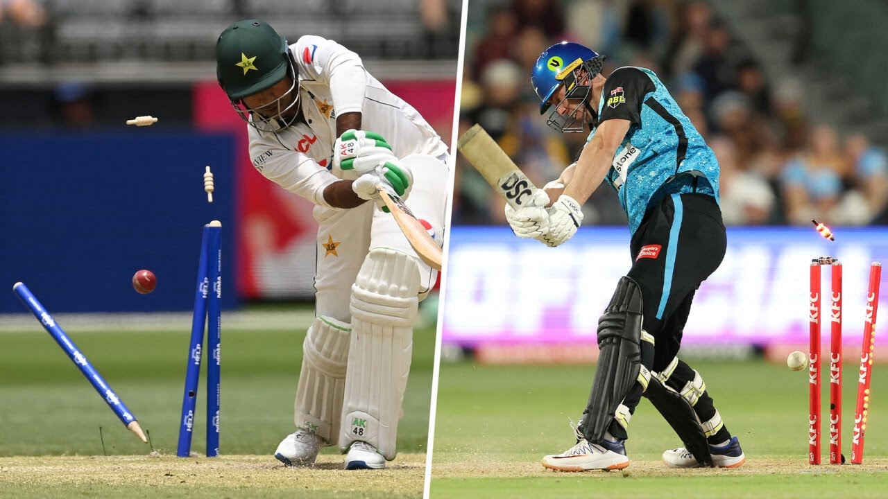 Best deliveries of the week, December 16-22 | Saturday Seeds - The ...