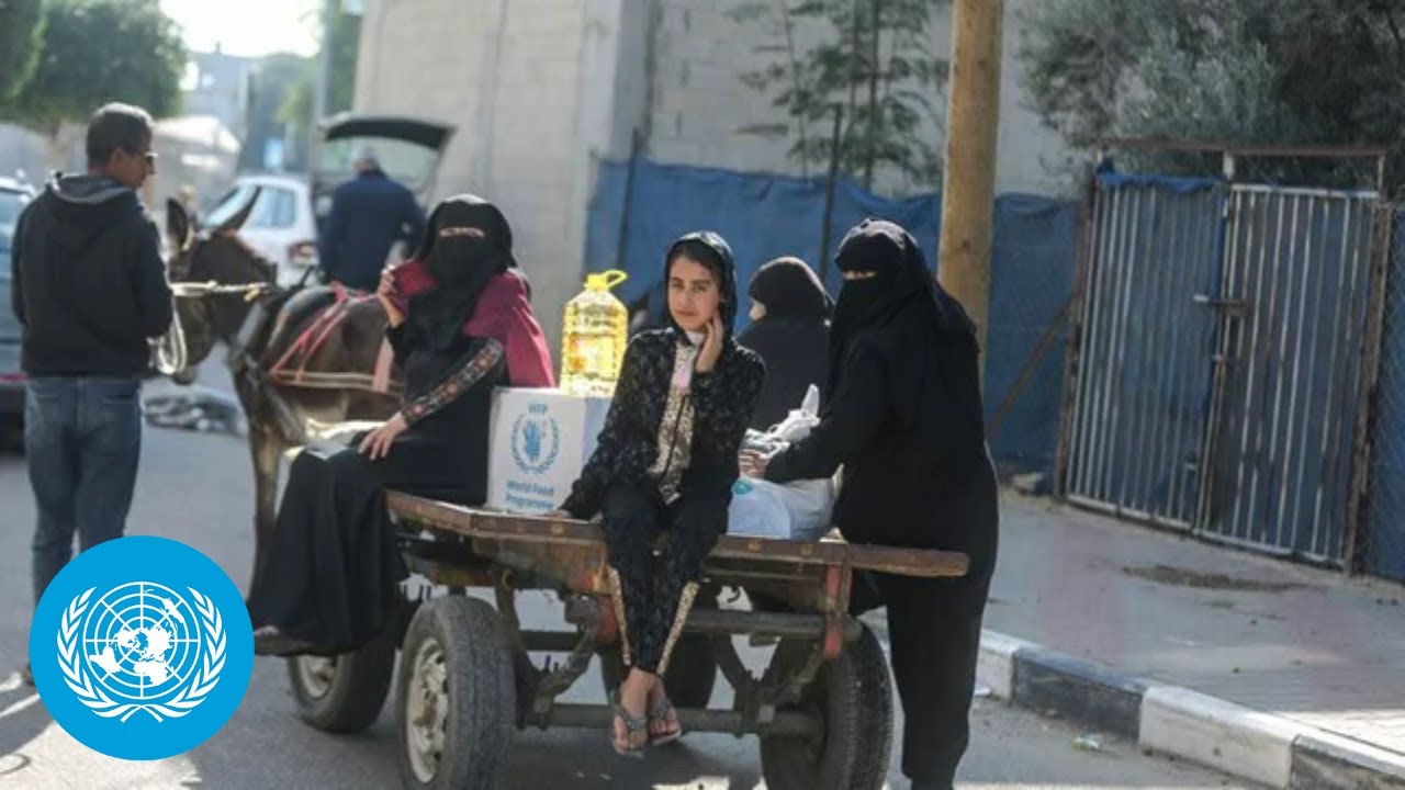 UN News in Brief (11 December 2023) | United Nations - The Global Herald