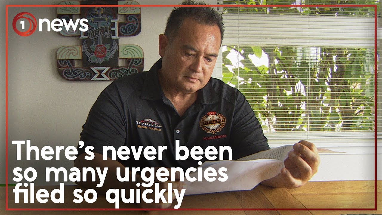 Third urgent claim in less than a month made to Waitangi Tribunal ...