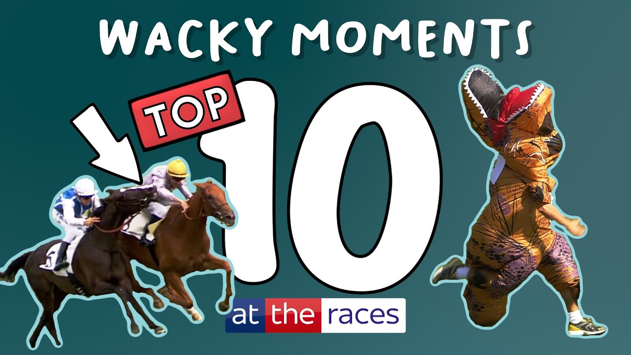 CHELTENHAM TIPS & CHRISTMAS RACING RECAP | OFF THE FENCE | S4 Ep8 - The ...