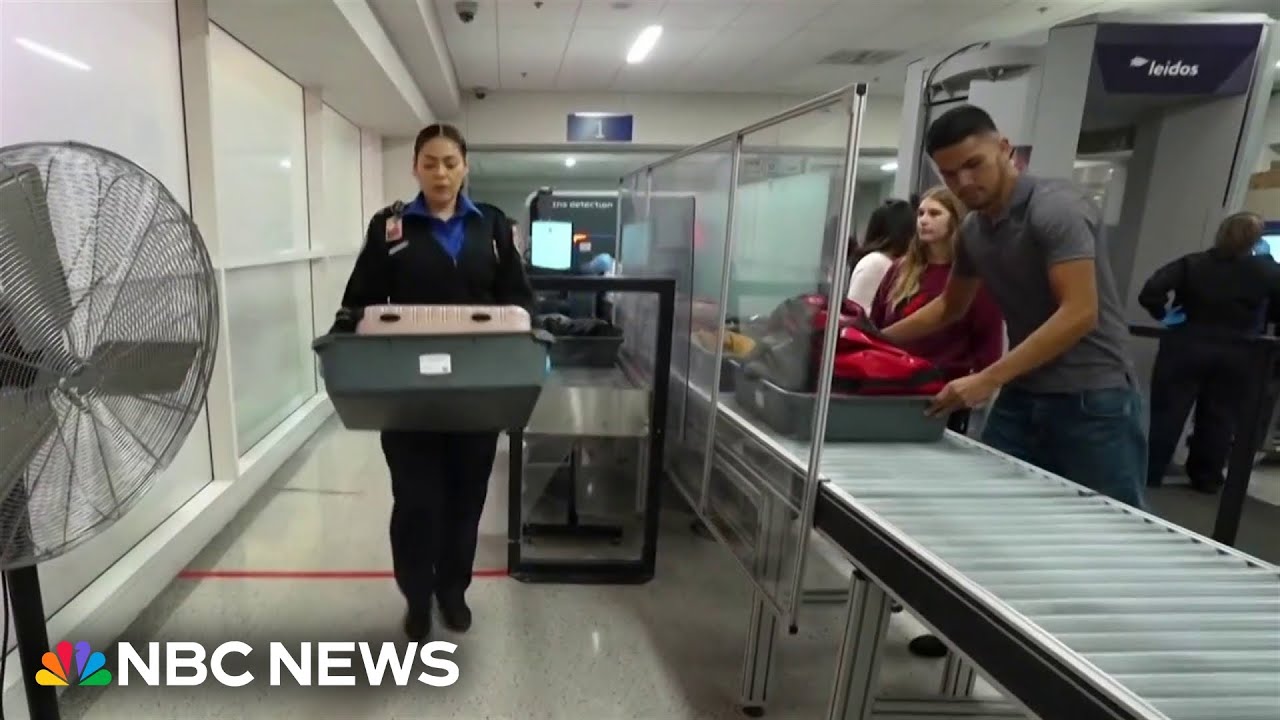 What it’s like to work for the TSA amid the holiday travel rush - The ...