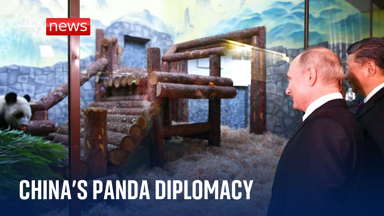 What China's pandas tell us about the country's international relations ...