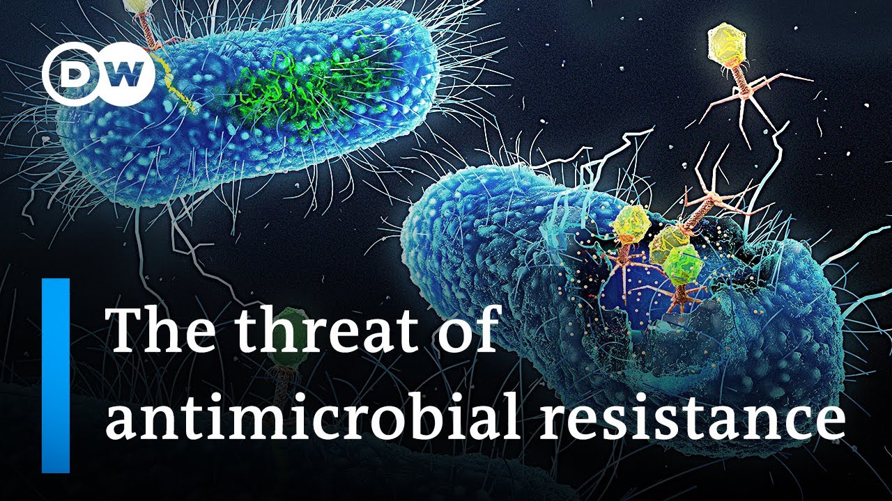 5 million annual deaths: Why antimicrobial resistance is a global ...