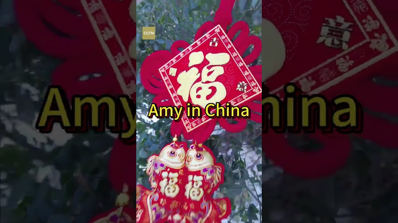 Dutch student Amy celebrates New Year in China this year - The Global ...