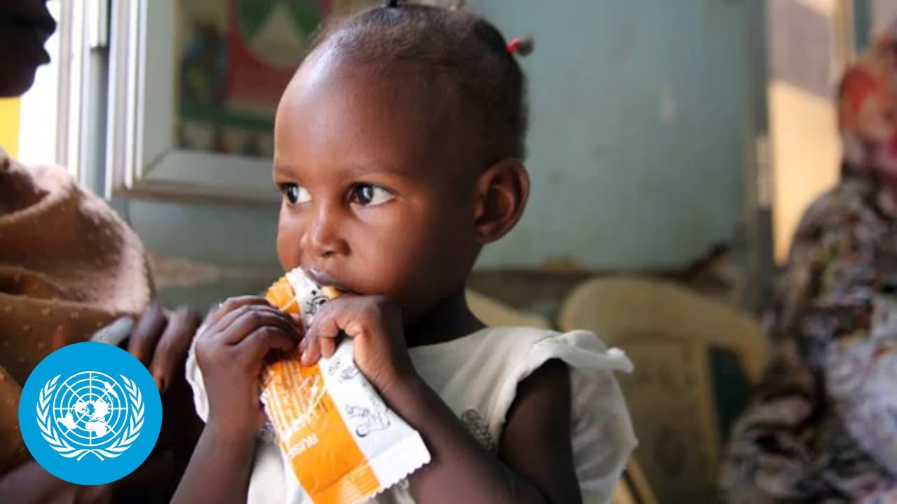 UN News in Brief (19 December 2023) | United Nations - The Global Herald