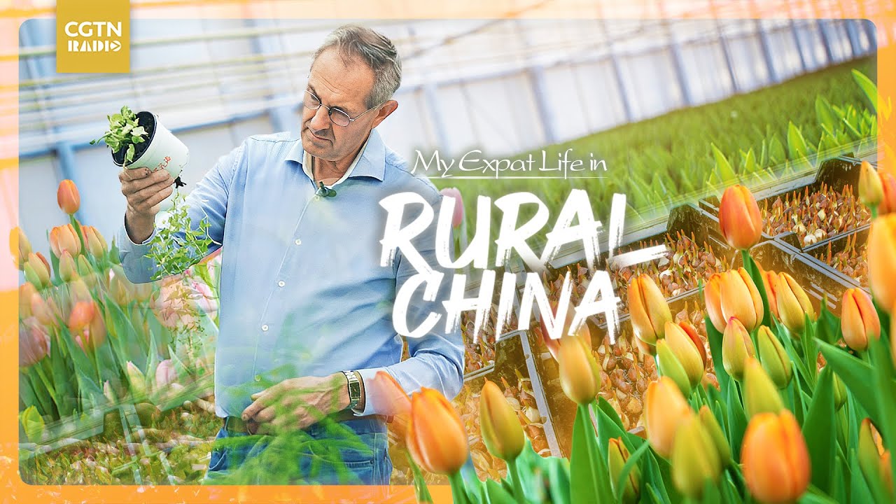 My expat life in rural China-Ep. 4: Creating China's first 'sea of ...