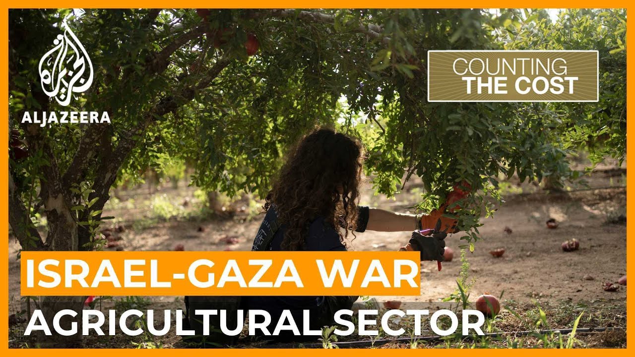 Can Israel’s agricultural sector recover after the war on Gaza ...