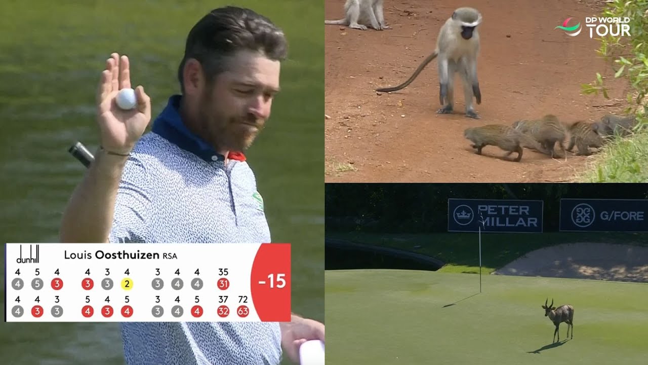 Weird & Wonderful Golf Moments | 2023 Alfred Dunhill Championship - The ...
