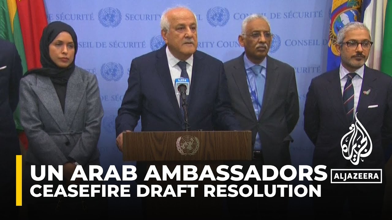 UN needs to act quickly on ceasefire draft resolution: Riyad Mansour ...