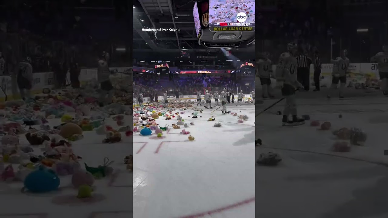 Hockey fans throw thousands of stuffed animals on the ice for charity ...