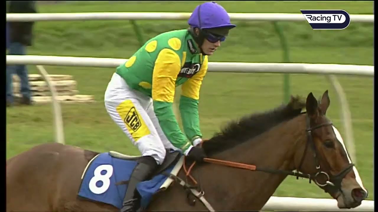 KAUTO STAR'S British debut as a four-year-old in 2004 - The Global Herald