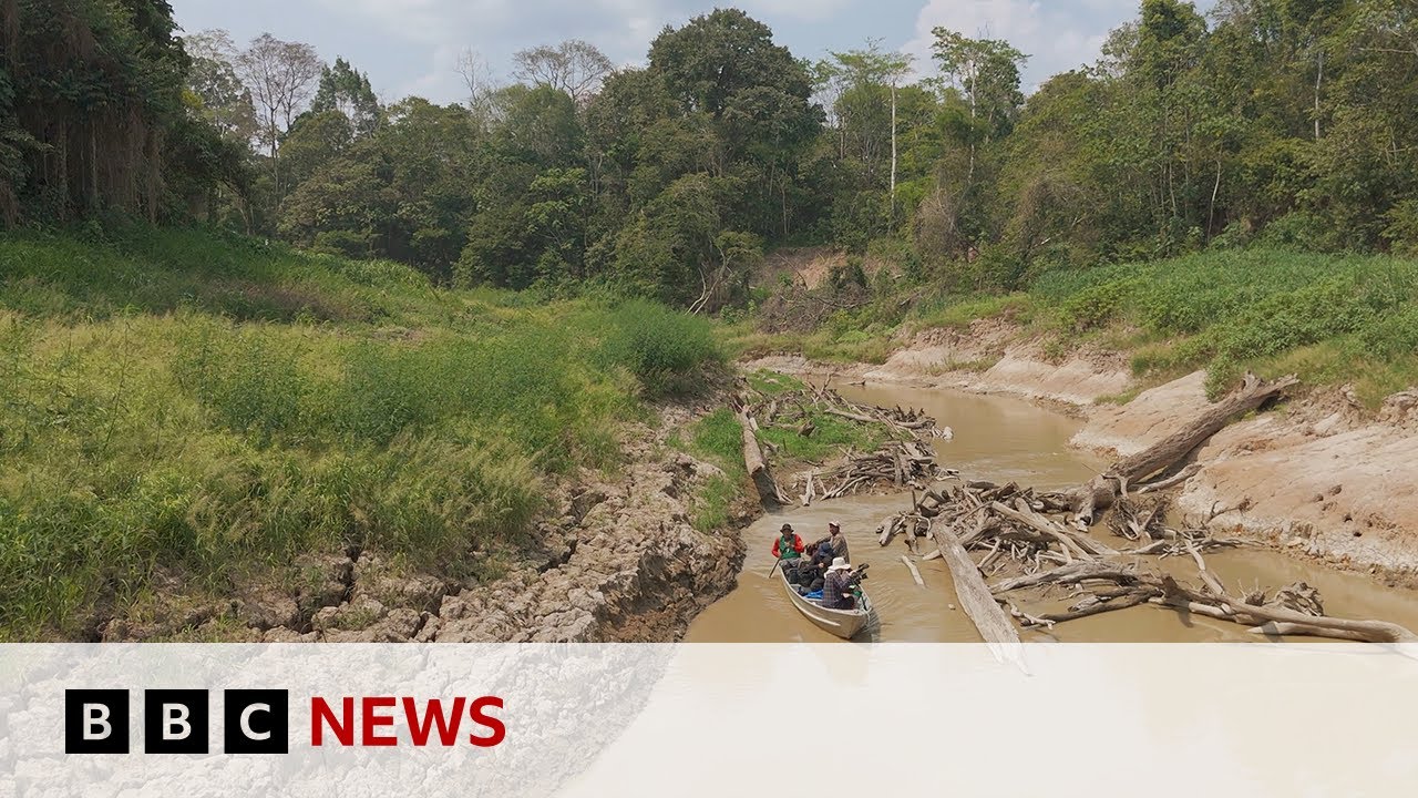 Is unprecedented drought pushing the Amazon to the brink? | BBC News ...