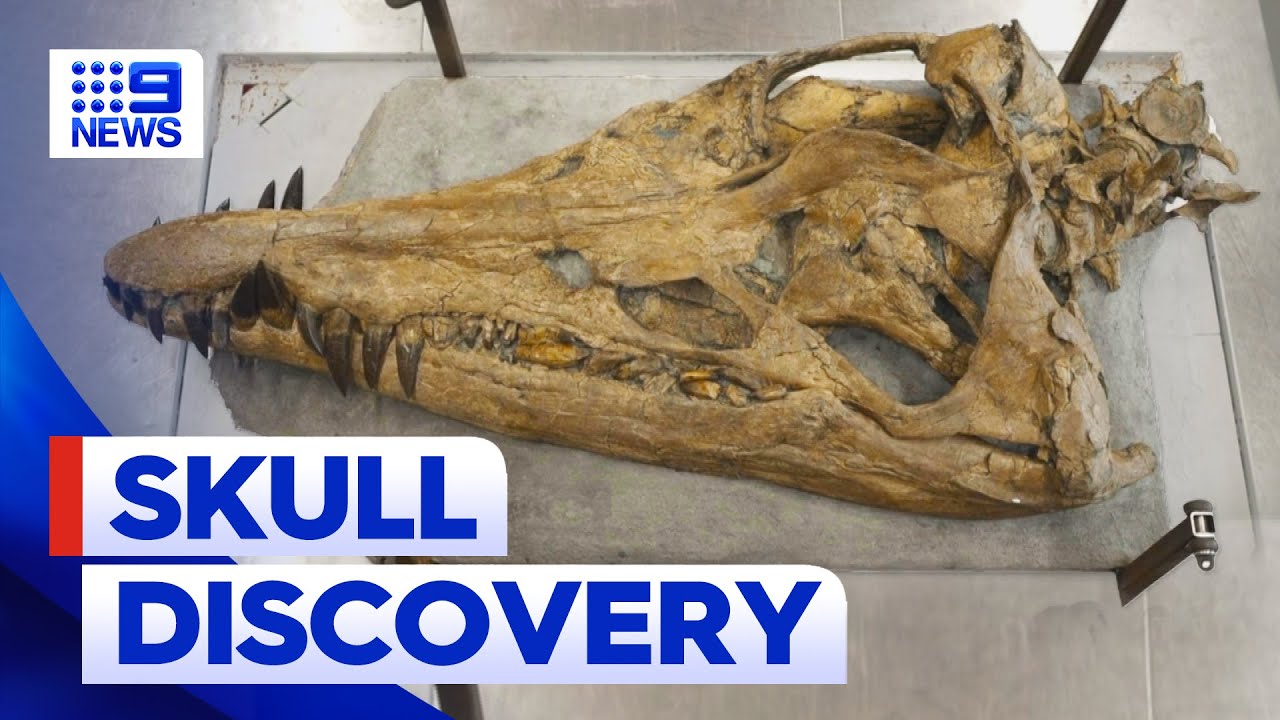 Giant dinosaur skull uncovered on UK coast | 9 News Australia - The ...
