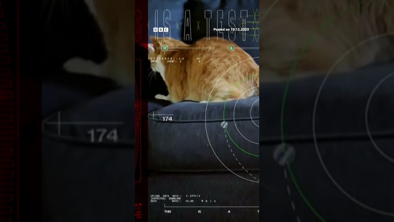 Nasa beamed a cat video 19 million miles from space to Earth with a ...