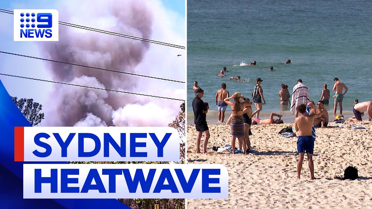 Scorching temperatures continue in Sydney | 9 News Australia - The ...
