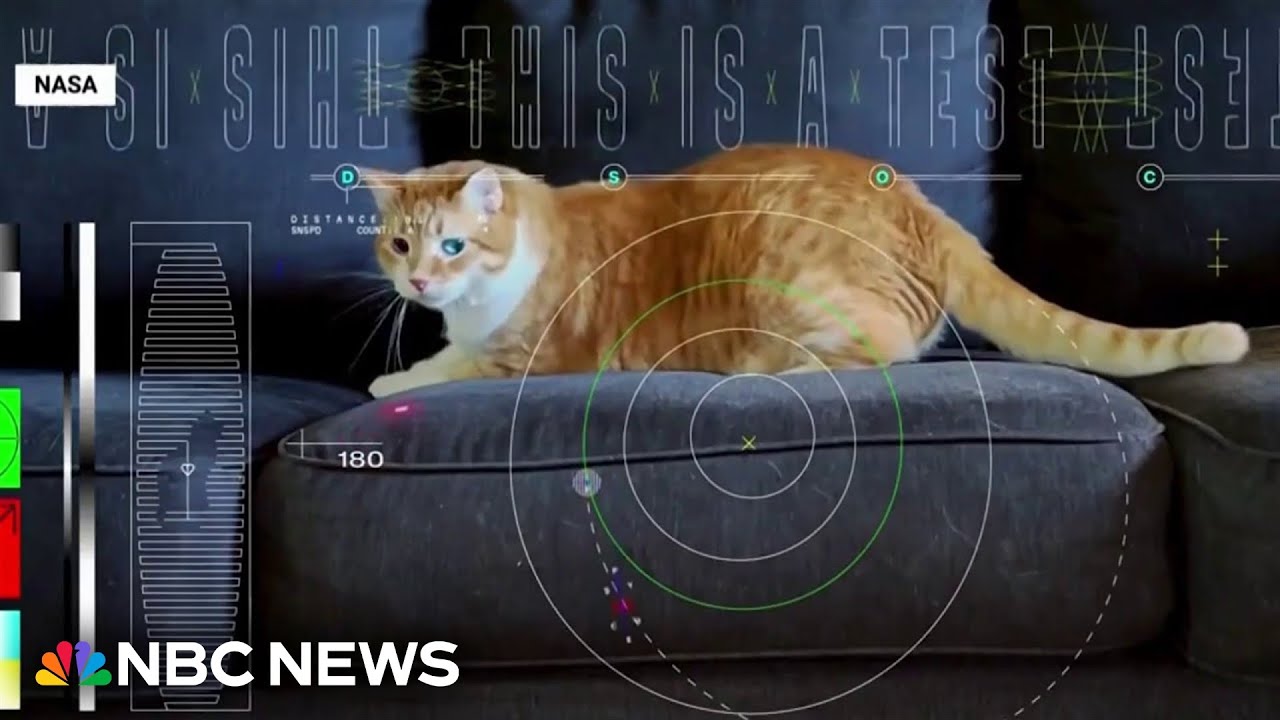 NASA beams cat video from deep space back to Earth using laser - The ...