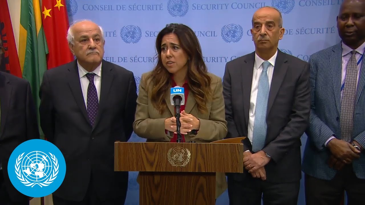 UAE, Palestine, Egypt & Others on UN Security Council Resolution on ...