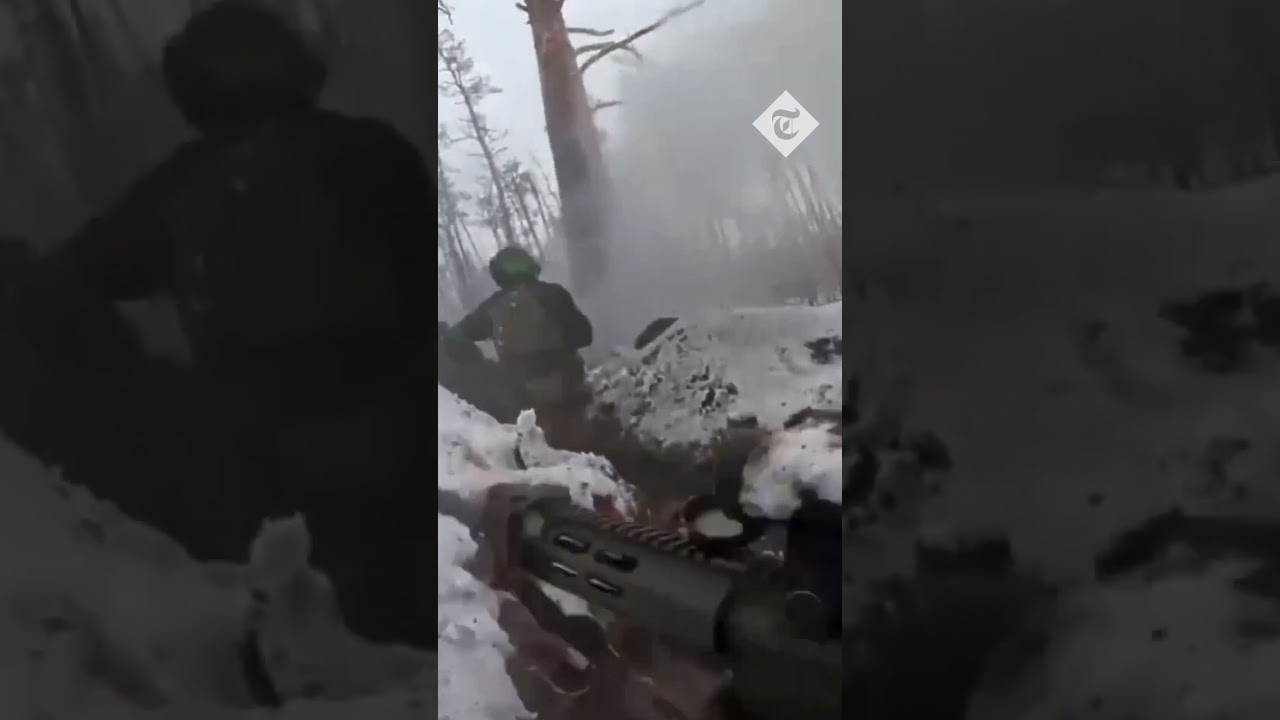 Ukrainian troops storm Russian positions in the Kreminna Forest near ...