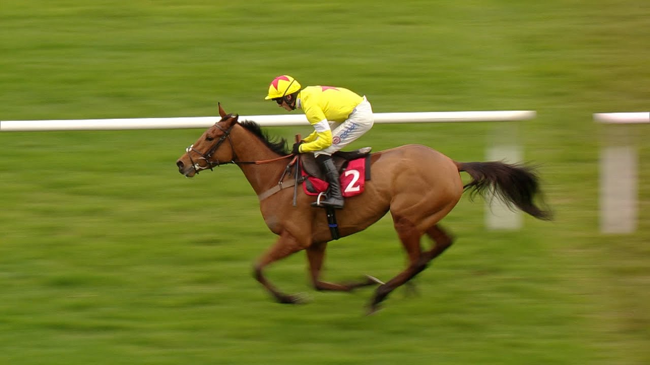 KALIF DU BERLAIS dominates on British debut at Kempton - The Global Herald