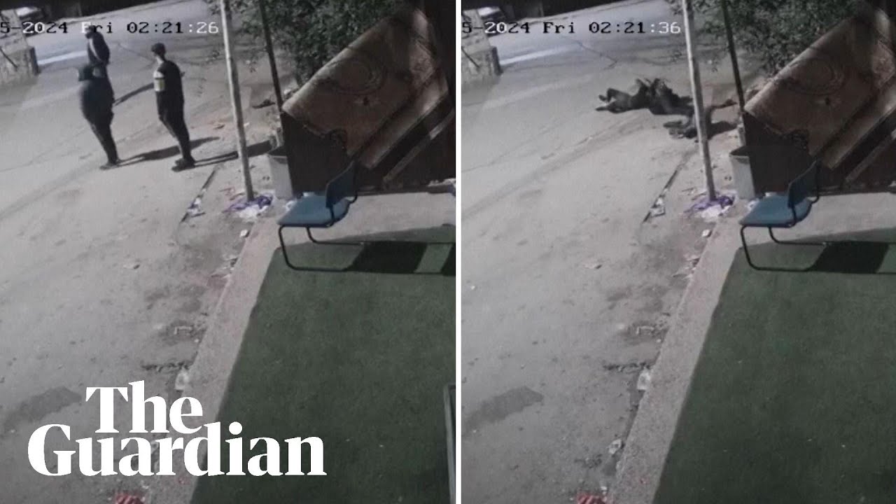 Video appears to show Israeli army shooting Palestinians without ...