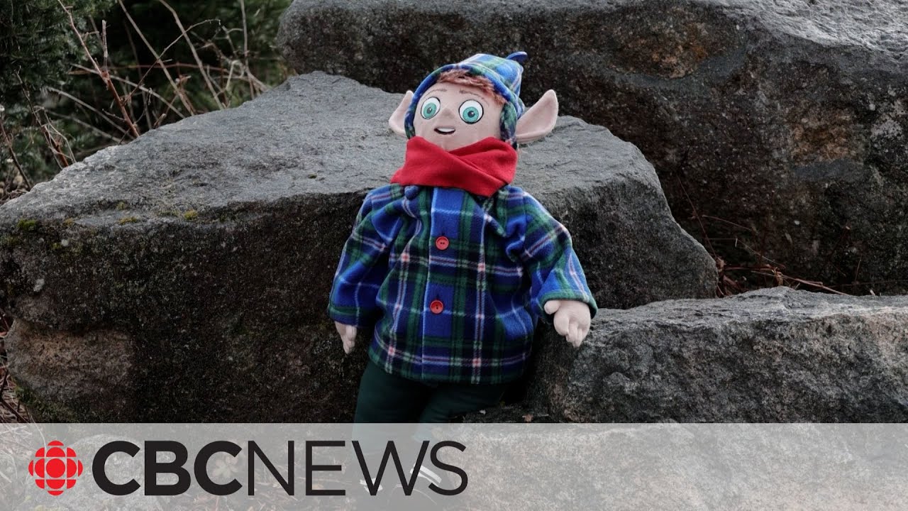 Meet the elf that protects Nova Scotia’s famed balsam fir Christmas ...